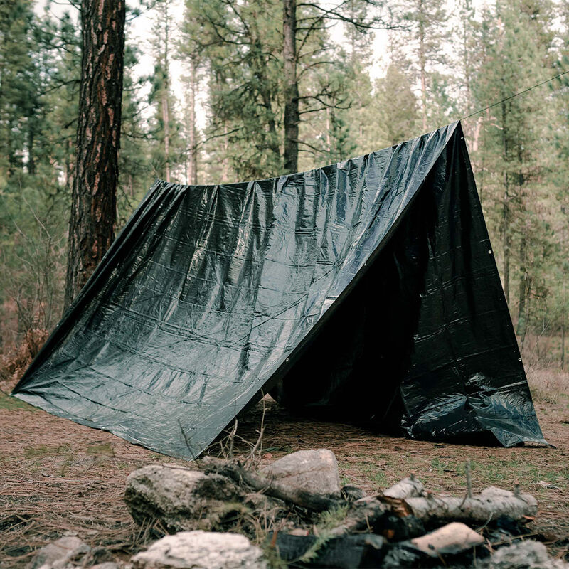 Stansport 16' x 20' Triage Tarps, Set of 4 | Overton's