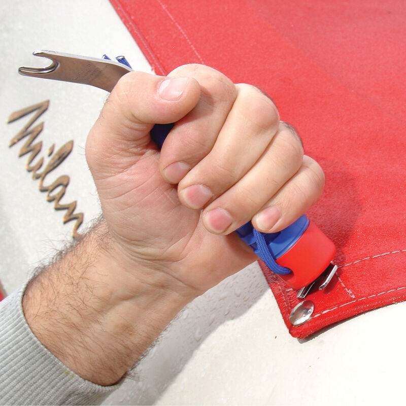 Top Snapper | Overton's