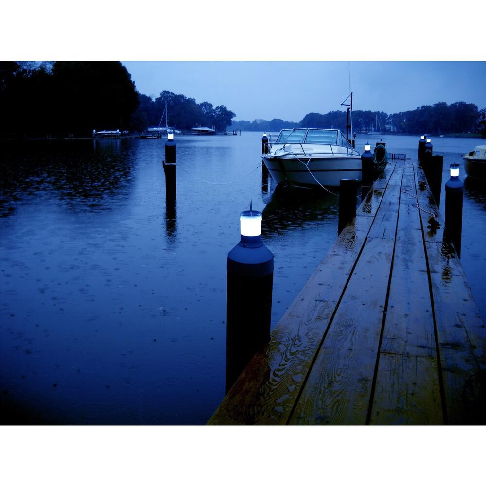 Dock Edge Solar Piling Cap Light | Overton's