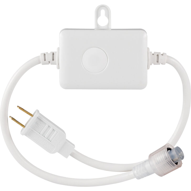 Enbrighten Color-Changing Neon Flex Light, 24' | Overton's