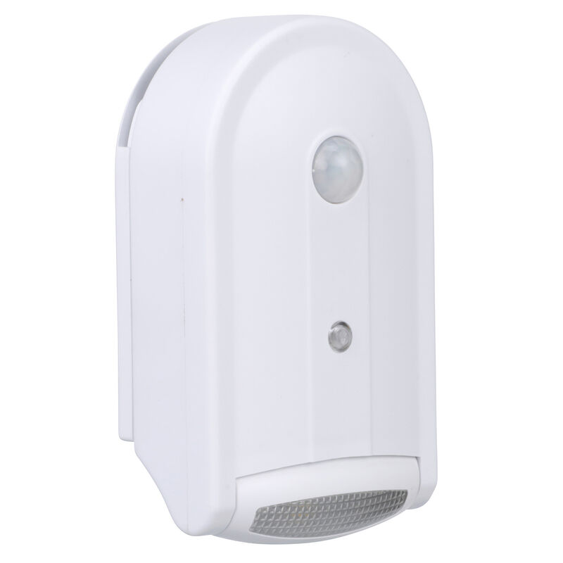 Ecolight Motion-Activated LED Directional Pathway Light | Overton's