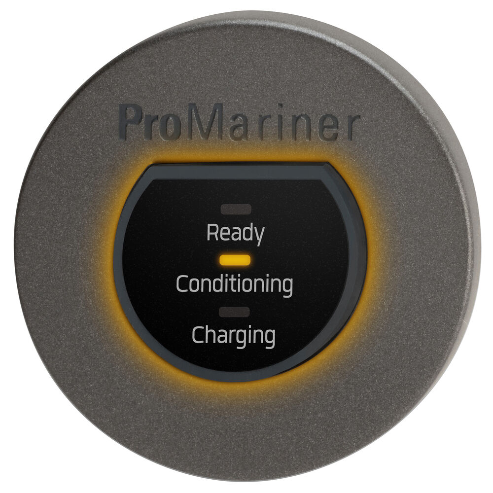 ProMariner ProTour Elite Battery Charger Remote | Overton's