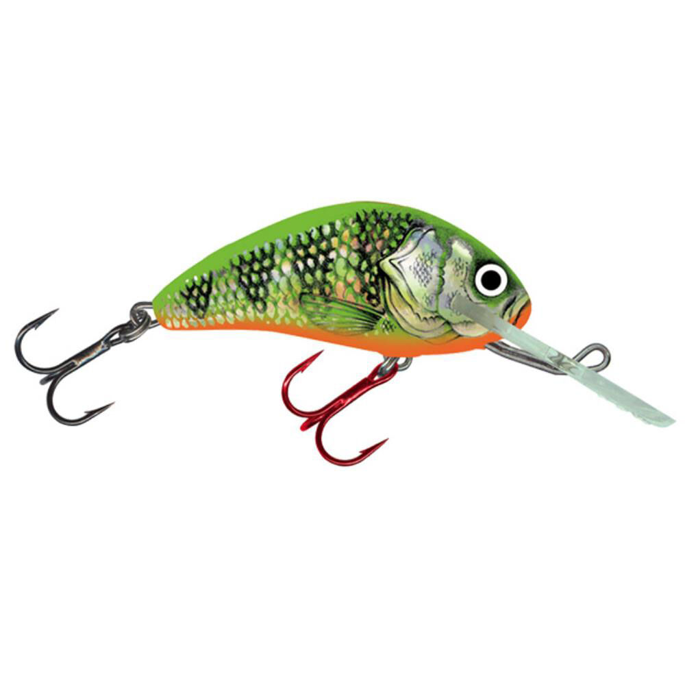 Salmo Floating Hornet Crankbait | Overton's