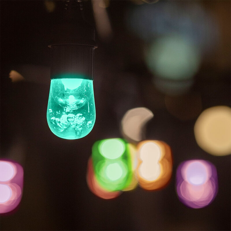 Enbrighten Seasons LED Color-Changing Cafe String Lights, 24' | Overton's