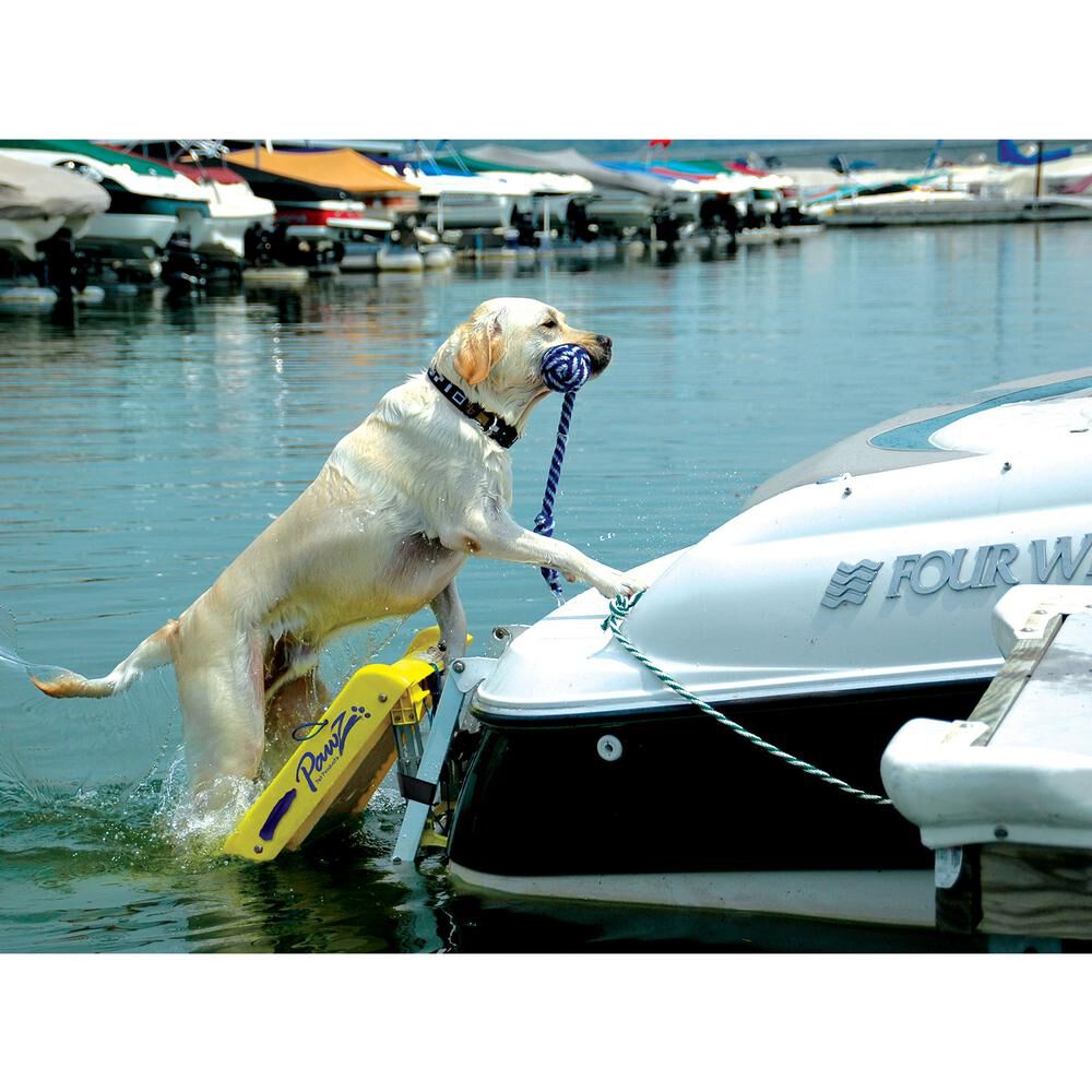 Pawz Dog Boarding Ladder | Overton's