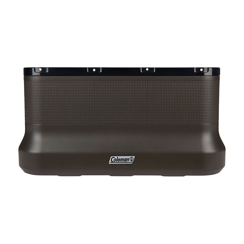 Coleman OneSource Rechargeable Lithium-Ion Battery (Pack of 4) & 4-Port ...